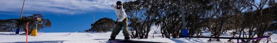 Hotham - Intro to Freestyle Lesson (15yrs+)